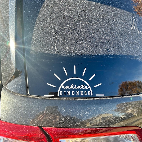 Silly Goose on Board Decal, Car Decal, Funny Bumper Sticker, Trendy ...