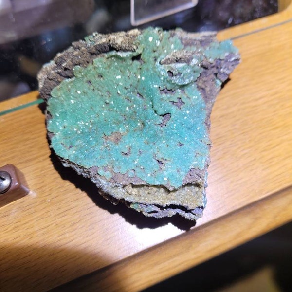 Rare 8” Large Raw Arizona Agatized Petrified Wood Fossil Centerpiece ...