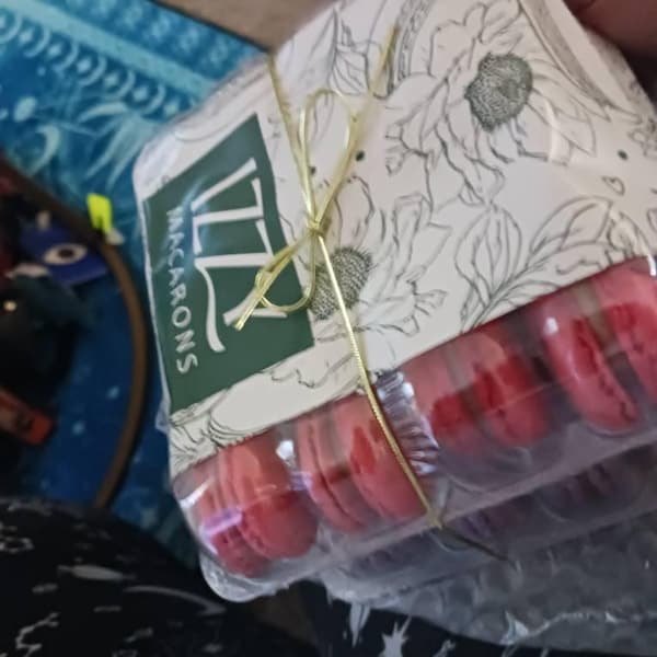 Izzy Mini French Macarons - Choose Flavors- Standard Packaging - Ice ...