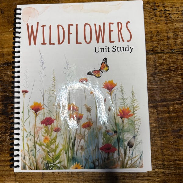 Dragons Unit Study, Mythology Unit Study, Dragon Anatomy, Dragon Life ...