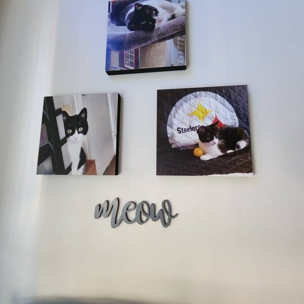 Meow Script Wording- Meow Wording- Meow Sign - Etsy