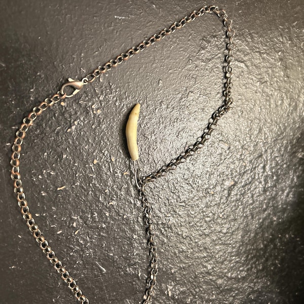 Gator Tooth Necklace regular Size - Etsy