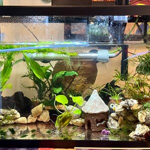 Handmade Natural Stone Tank Decor Swim Through Tunnel Hide - Etsy