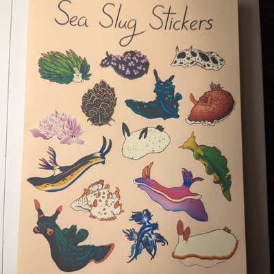 Sea Slug Sticker Sheet - Etsy