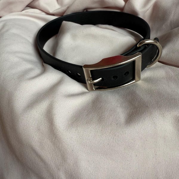 3/4" Stainless Steel Drop D Ring Collar | Durable & Comfortable ...
