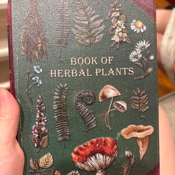 Kawaii Capybara Art Kindle Paperwhite 4 Cute Animal Case Kindle Custom ...