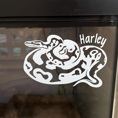 Crested Gecko Guy Hooded Sweatshirt, Crested Gecko Hoodie, Crested ...