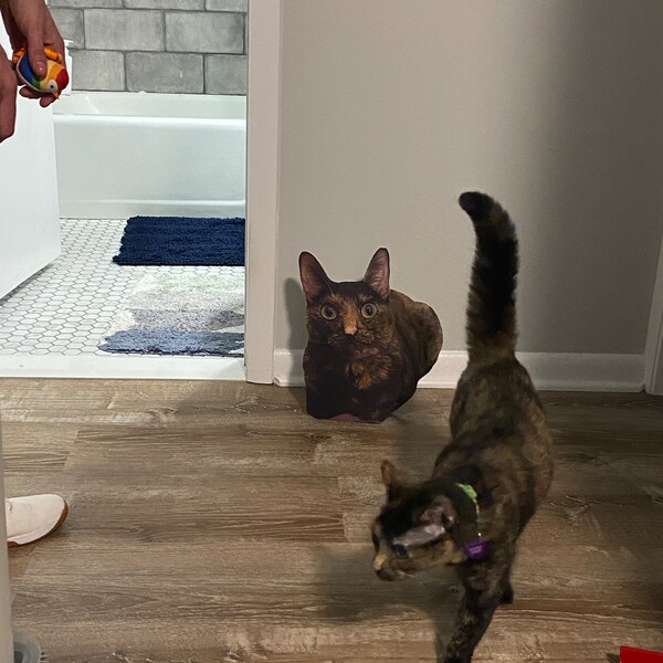 120 Anime Meme Animated Emote Pack for Youtube, Twitch, Discord, Tiktok ...