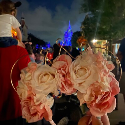Pink Floral Wire Disney Ears - Etsy