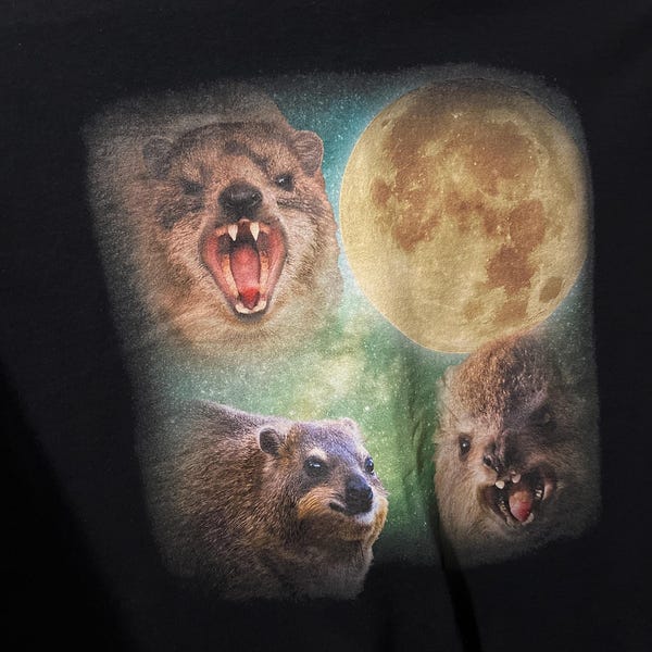 Funny Cat Meme T-shirt, Cats Dank Memes Tee, Freaky Unhinged Tshirt ...