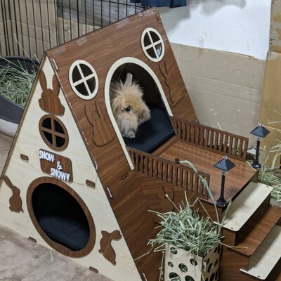 Modern Rabbit House, Indoor Rabbit Castle, Rabbit Furniture, Extra ...