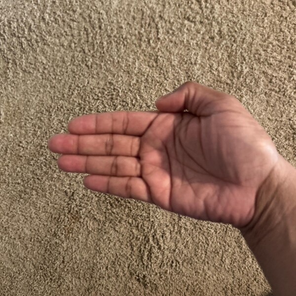 Wall Street Gordon Gekko Fortune Photo Limited Signature Edition Custom ...