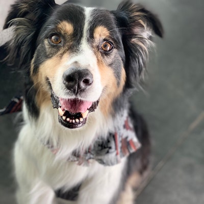 Curriculum Maps for Homeschooling Pre-k-10th Visual Lesson Planning ...