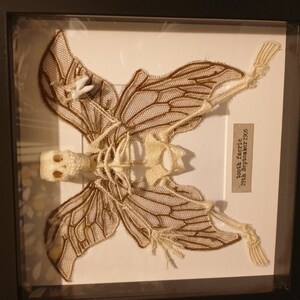 Genetically Engine-eared Vacanti Mouse, Vegan Faux Taxidermy ...