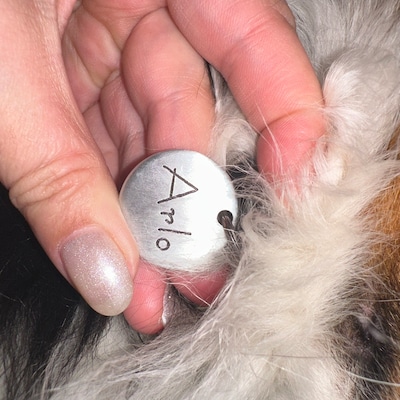 Silver Bone Pet ID Stainless Steel Custom Engraved Dog Tag Size 28x50mm ...