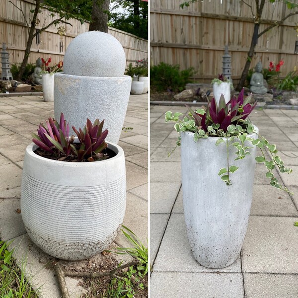 Mickey Mouse Ears Cactus - Etsy