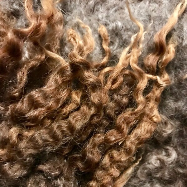 Wet Felting Tutorial- Felted Locks Collar- Neck Warmer- How to Felt ...