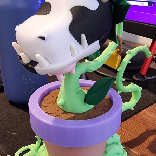 Cow Plant - Etsy