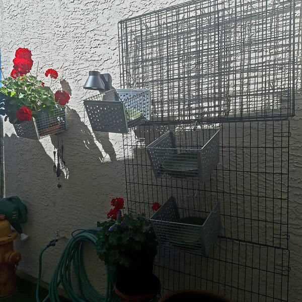 4 Vintage LYON Wire Industrial Locker Room Gym Baskets/bins Grade B ...