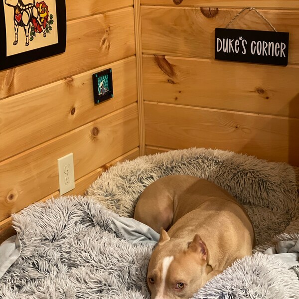 Cat Zone Sign - Pet Sign - Cat Lover Sign - Pet Decor - Cat Lover - Pet ...