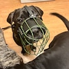 Custom Powder Coated Metal Wire Basket Dog Muzzle - Etsy