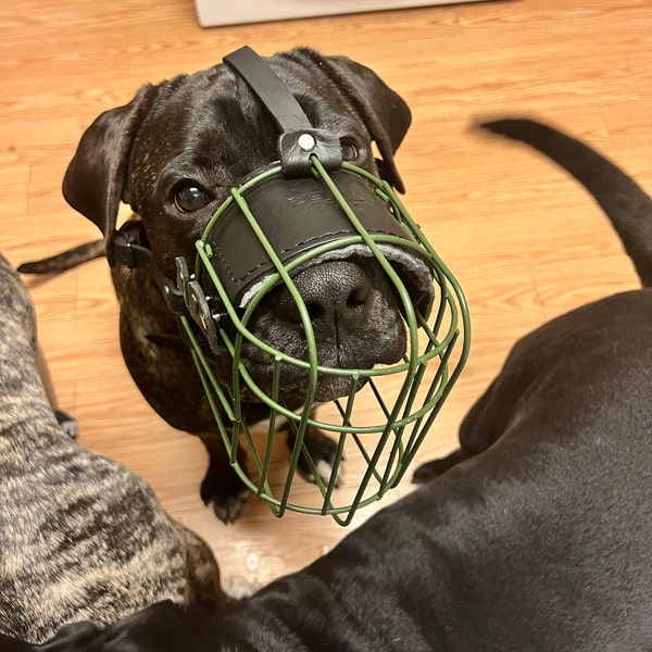 Custom Powder Coated Metal Wire Basket Dog Muzzle - Etsy