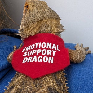 Bearded Dragon Sweater, Lizard Sweater, Lizard Shirt, Bearded Dragon ...