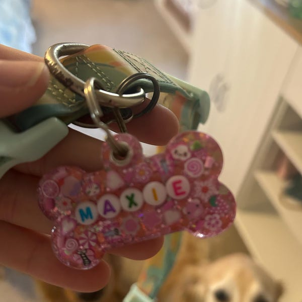 Personalized Resin Dog Tag, Custom Cat Tag, Letter Bead Dog Tag, Dog ...
