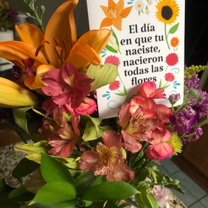 Cactus Sticker Nopal Sticker Plant Sticker Waterproof - Etsy