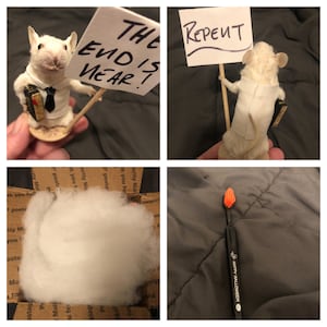 Taxidermy Mouse Pope Francis - Etsy