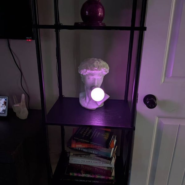 No Show Sock Insert Set, US Womens Size 4-10, Storage Solution, Travel ...