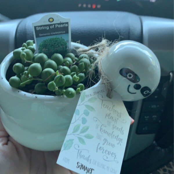 PRINTABLE Teacher Appreciation Gift Tags, Teacher Thank You Card ...