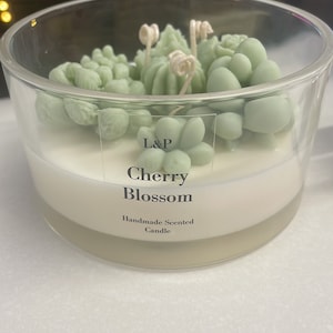 Cacti and Succulents Terrarium Candle Unique Candle Handmade Soy Wax ...