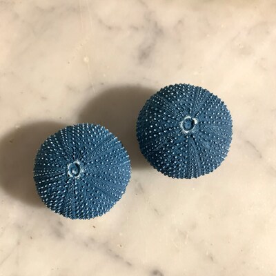 Shell Knobs Beach Knobs and Pulls Beach House White Knobs Drawer Knobs Cabinet Knobs Kitchen ...