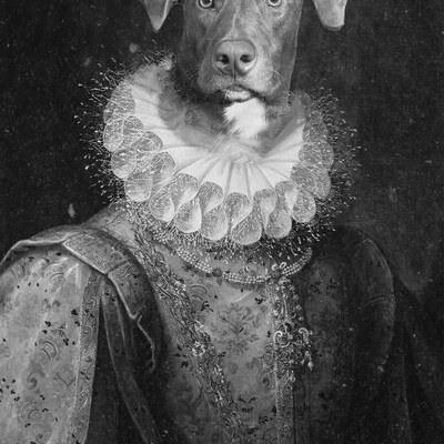 Pet Portrait Background,photoshop Digital Backgrounds, Template, Pet ...