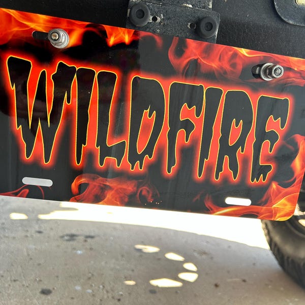 Blood Spatter Scream Queen Halloween Horror Personalized License Plate ...