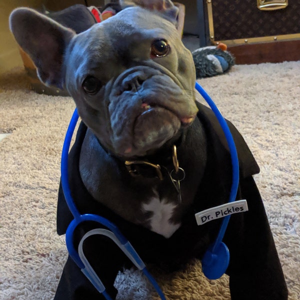 Dog Doctor Lab Coat Costume, Doctor Lab Coat Dog Costume, Pet Doctor ...