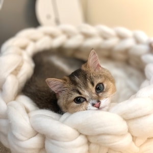 White Natural Wool Cat House Thick Knitted Bedding for Indoor - Etsy