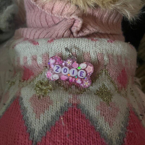 Crate Name Plate, Personalized Kennel Name Plate, Custom Dog Crate Name ...