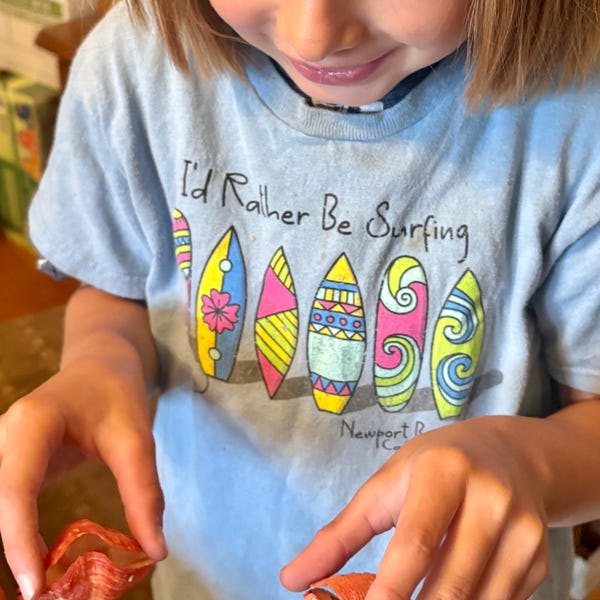 100 Real SEA SHELLS Arts Crafts Wedding Jewelry Seashell Scrapbook Art ...