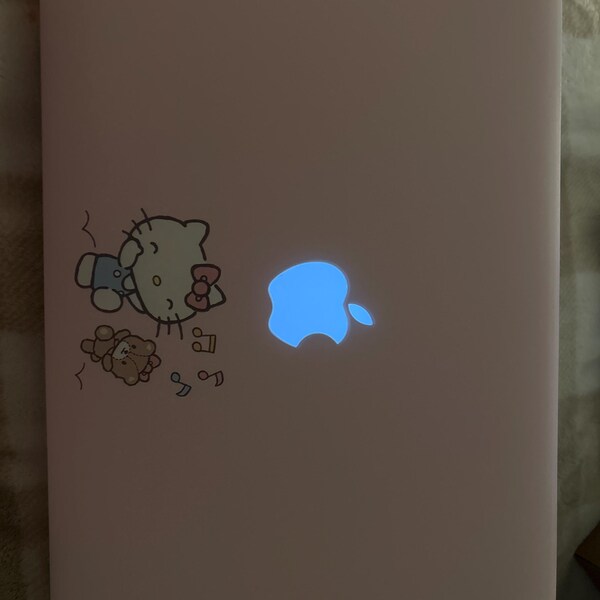 Cute Rabbit Cloud Aesthetic MacBook Hard Protective Case Laptop Cover ...