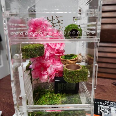 JC Decorated Hexagon Enclosures - Etsy