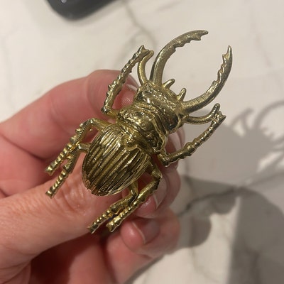 Brass Beetle Drawer Pulls Knobs, Insect Cupboard Door Handles, Bug ...