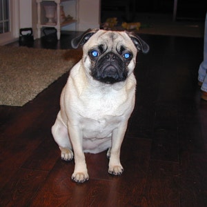 Vintage DEEP PURPLE Pin Authentic 80s Nostalgia - Etsy