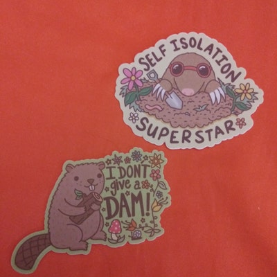 Funny Vinyl Stickers, Beaver Sticker, Woodland Animals, Forest Critters ...