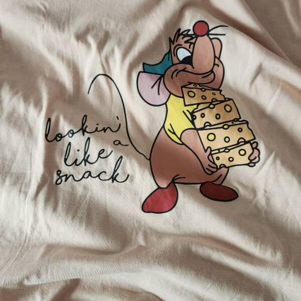 2 Sided Chip and Dale Shirt, Disney Double Trouble Comfort Colors Shirt ...