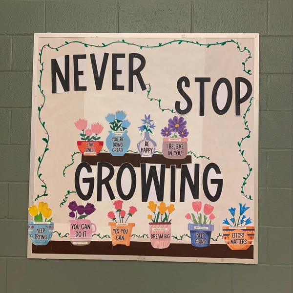 Spring Bulletin Board | Spring Classroom Decor | Butterfly Bulletin ...