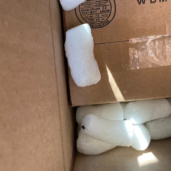 Butterscotch Scottish Tablet Candy - Flavored Authentic Scotland Family ...