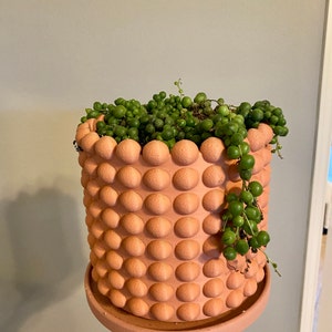 Modern Bubble Planter Pot With Drainage and Saucer Unique - Etsy