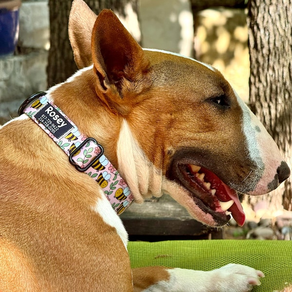 Green Chevron Dog Elite Bundle - Custom Dog Collar, Leash and Harness ...